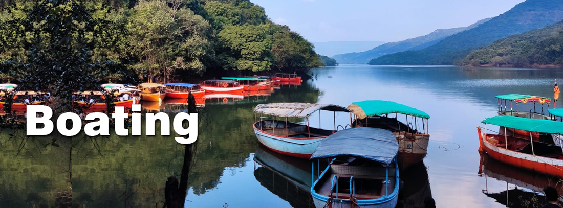 हॉटेल वासोटा सफर – कोयना टुरिझम